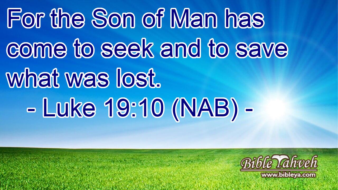Luke 19:10 (nab) - For the Son of Man has come to seek and to save...
