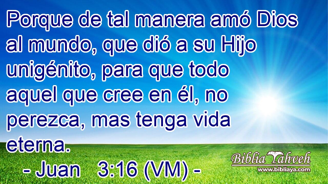 Juan 3 16 Vm Porque De Tal Manera Amó Dios Al Mundo Que D