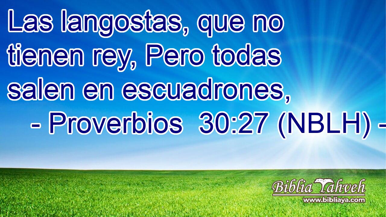 Proverbios 30:27 (NBLH) - Las langostas, que no tienen rey, Pero... Proverbios 30:27 (NBLH) - Las langostas, que no tienen rey, Pero...