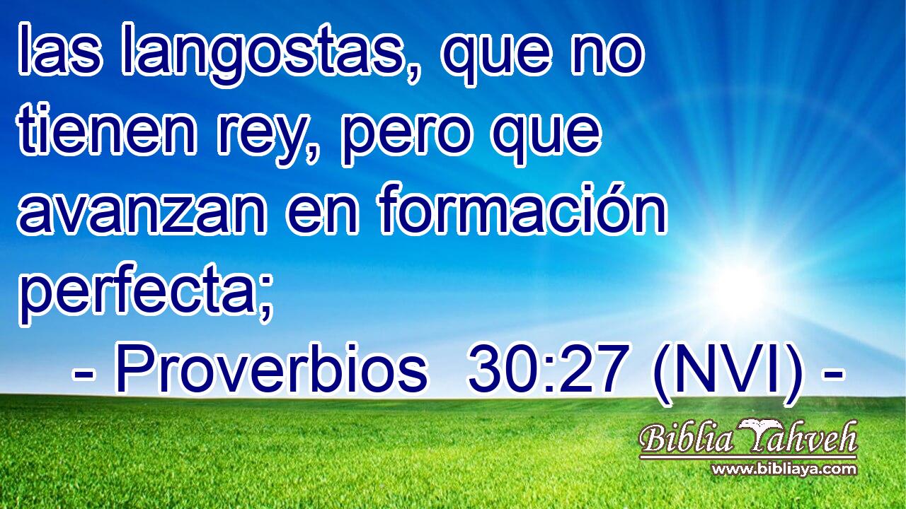Proverbios 30:27 (NVI) - las langostas, que no tienen rey, pero ... Proverbios 30:27 (NVI) - las langostas, que no tienen rey, pero ...