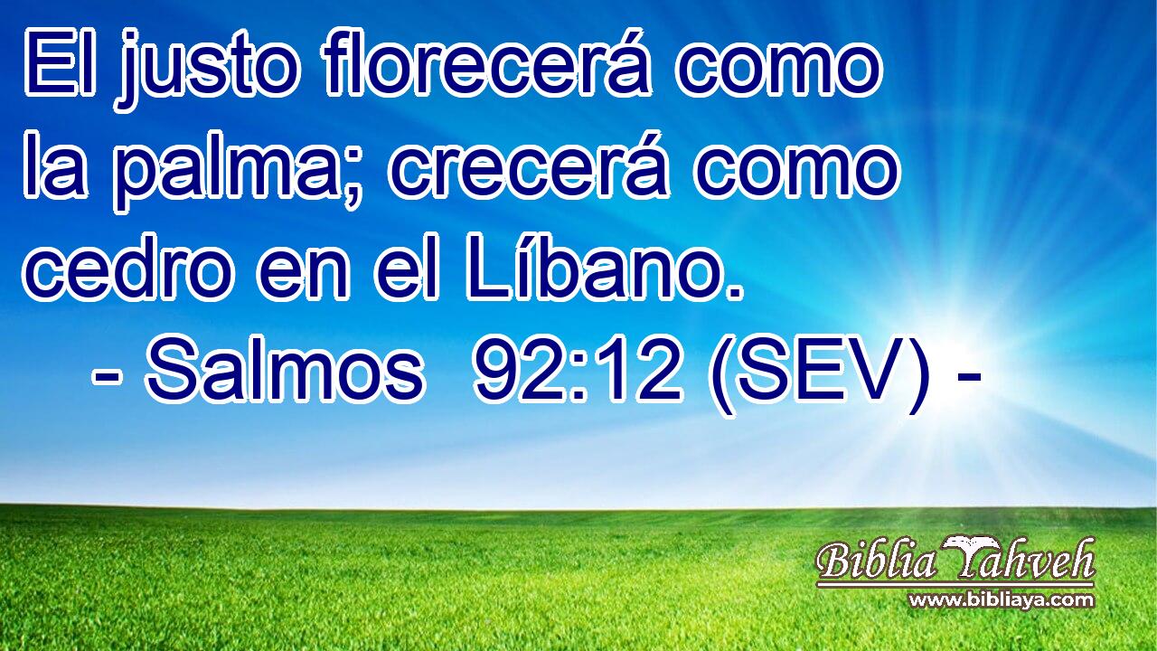 Salmos 92:12 (SEV) - El justo florecerá como la palma; crecerá ... Salmos 92:12 (SEV) - El justo florecerá como la palma; crecerá ...
